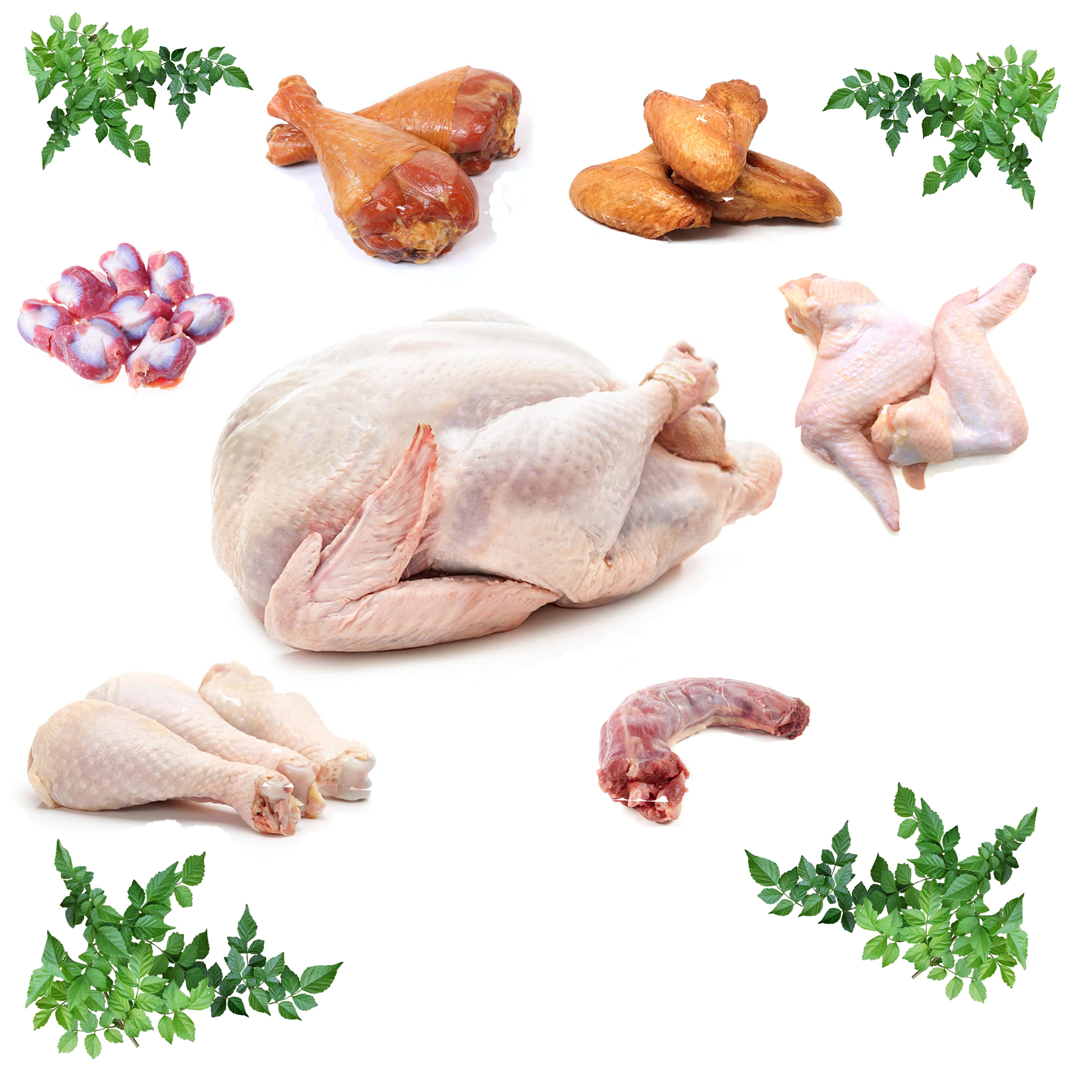 FRESH HALAL MEAT - CMR SYED